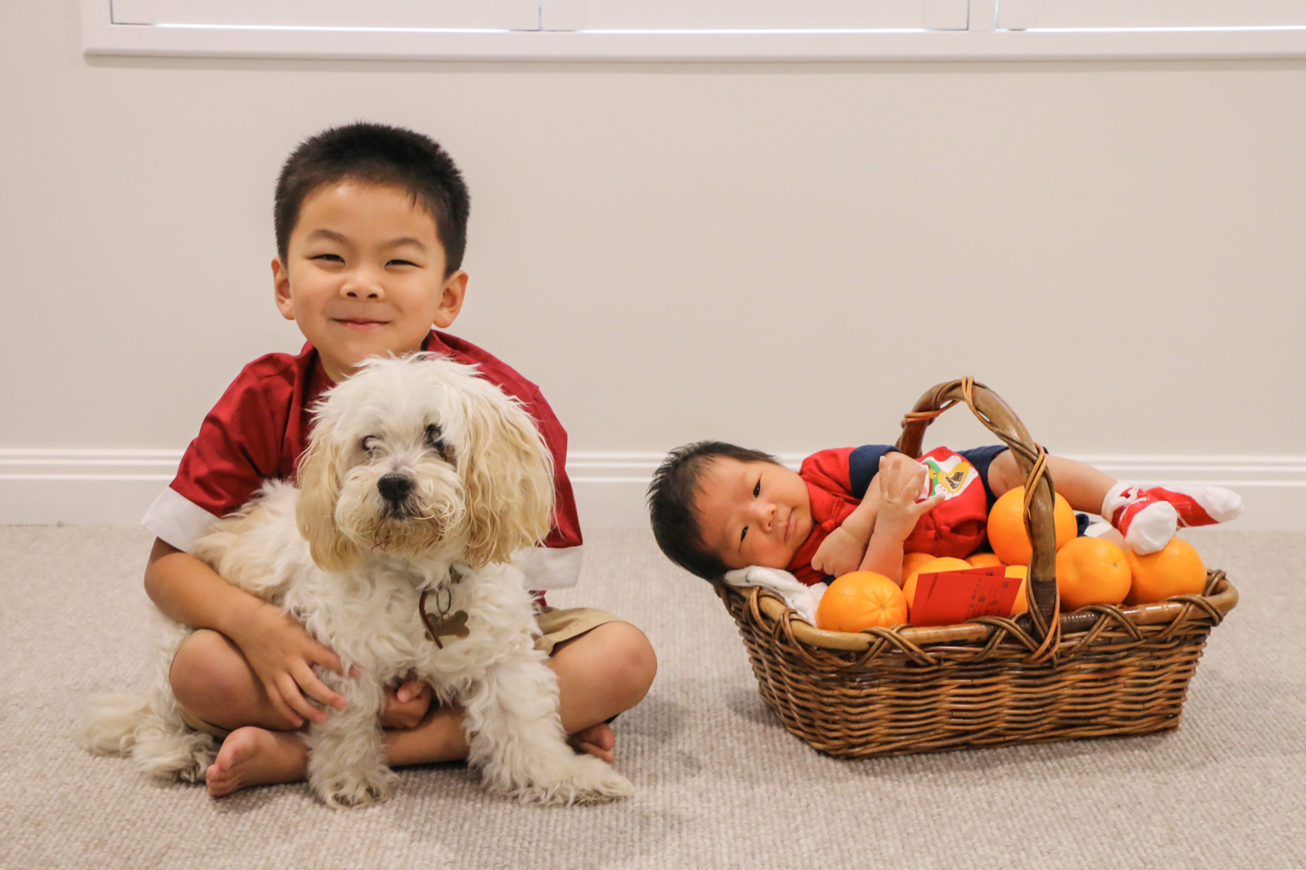 Life at home: Welcoming newborn and preparing first travel with two ...