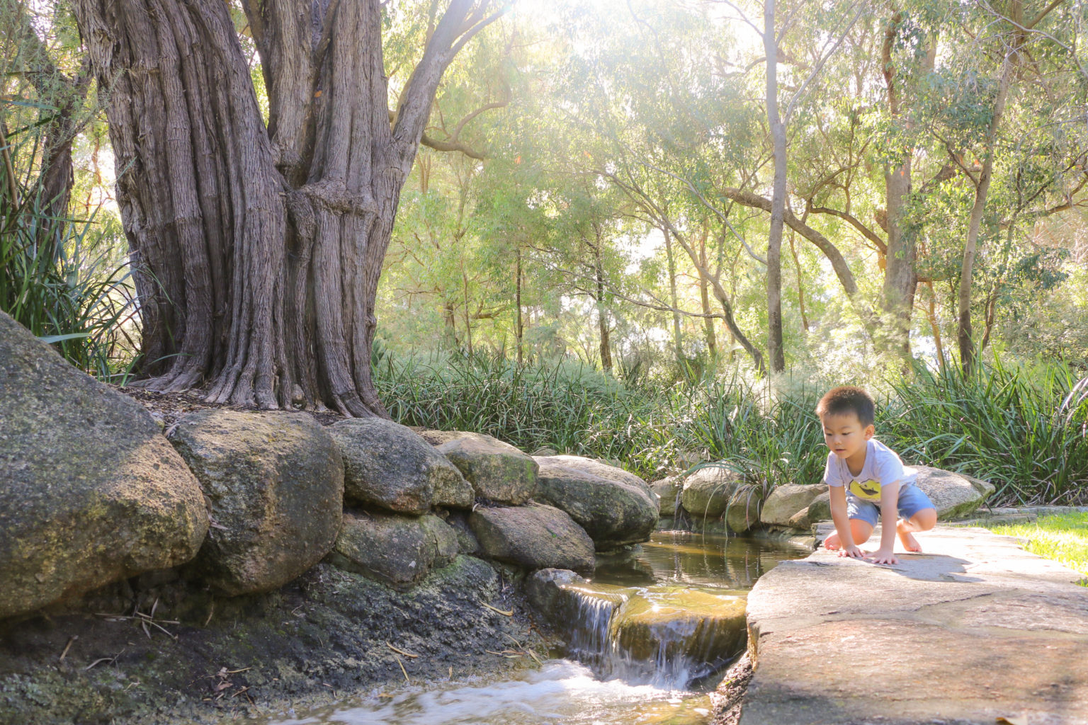 Family Travel in Perth Western Australia: 7 Amazing Playgrounds you ...